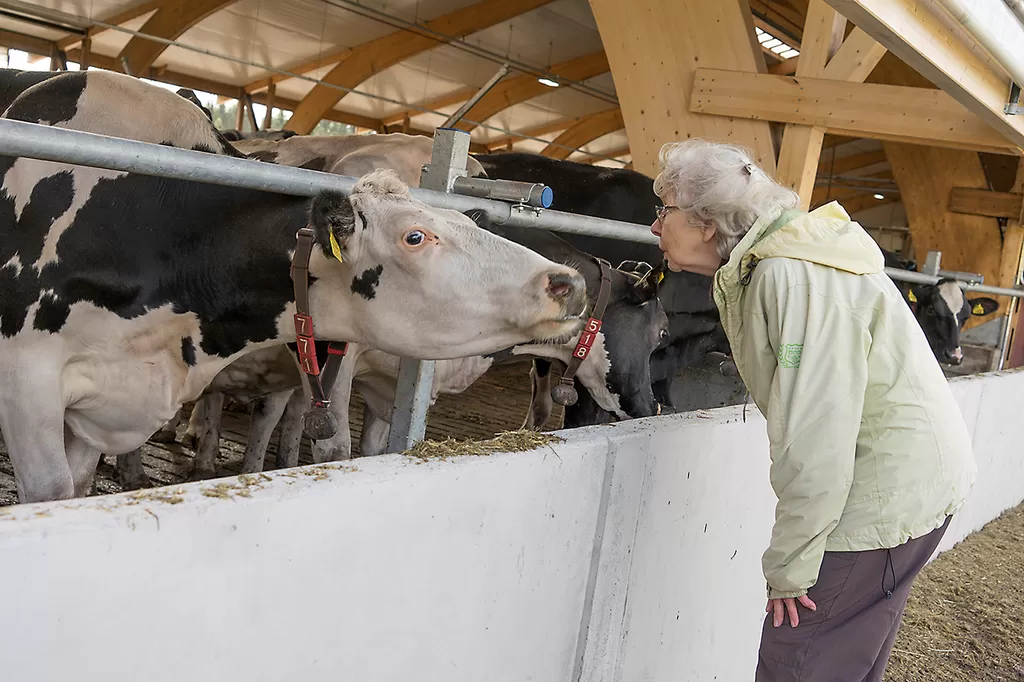 Maaseutuhallinnon ensi vuoden talousnäkymät - Ruovesi
