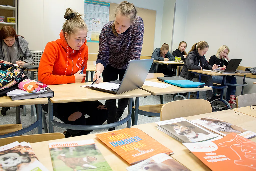 Ruoveden lukio menestyi vertailussa – STT:n vertailu toi Pirkanmaan ...