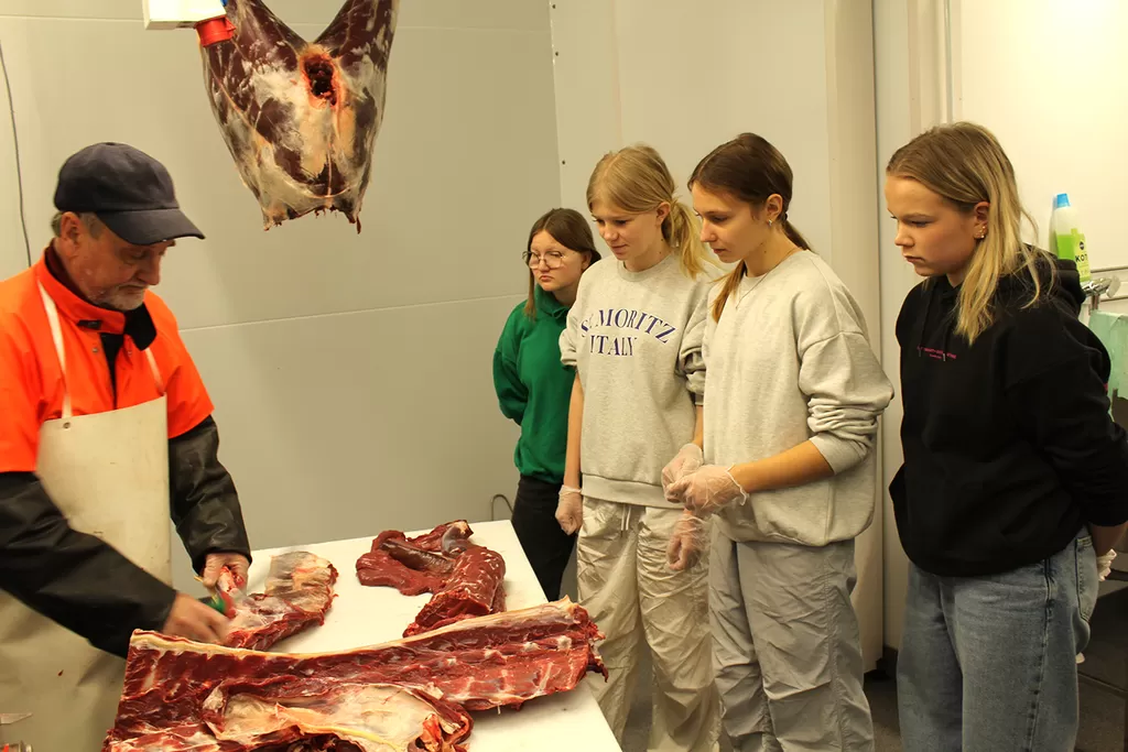 Lukiolaisia opettelemassa hirvenlihan paloittelua - Ruovesi