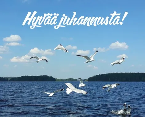 - Ruovesi