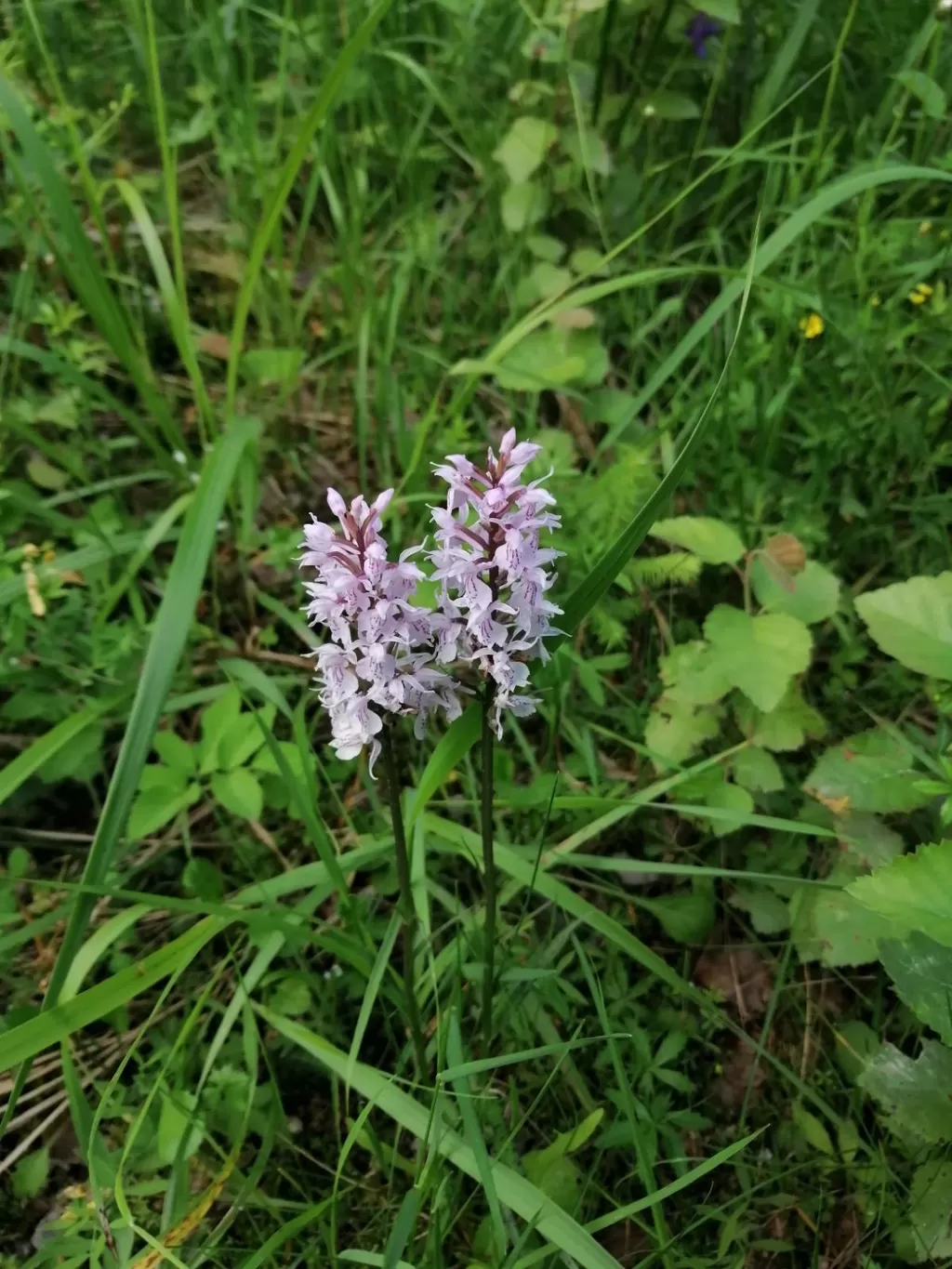 image-3.62395.17995.20240717102115.51eddc54f8