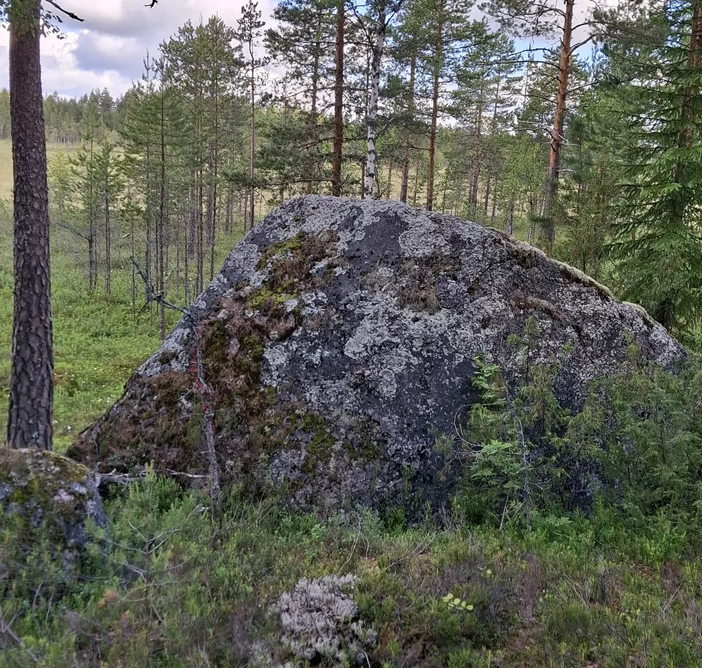 Lukijan kynästä: Seikkailuja Siikanevalla - Ruovesi