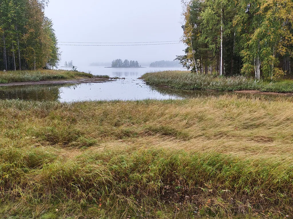 Mielipide: Tarjanneveden puolesta - Ruovesi-lehti