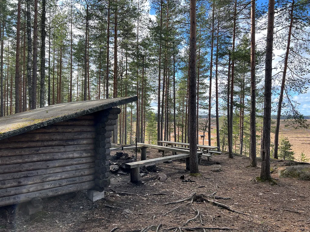 Siikanevalla vietetään 50-vuotismerkkipäivää kohusta piittaamatta - Ruovesi